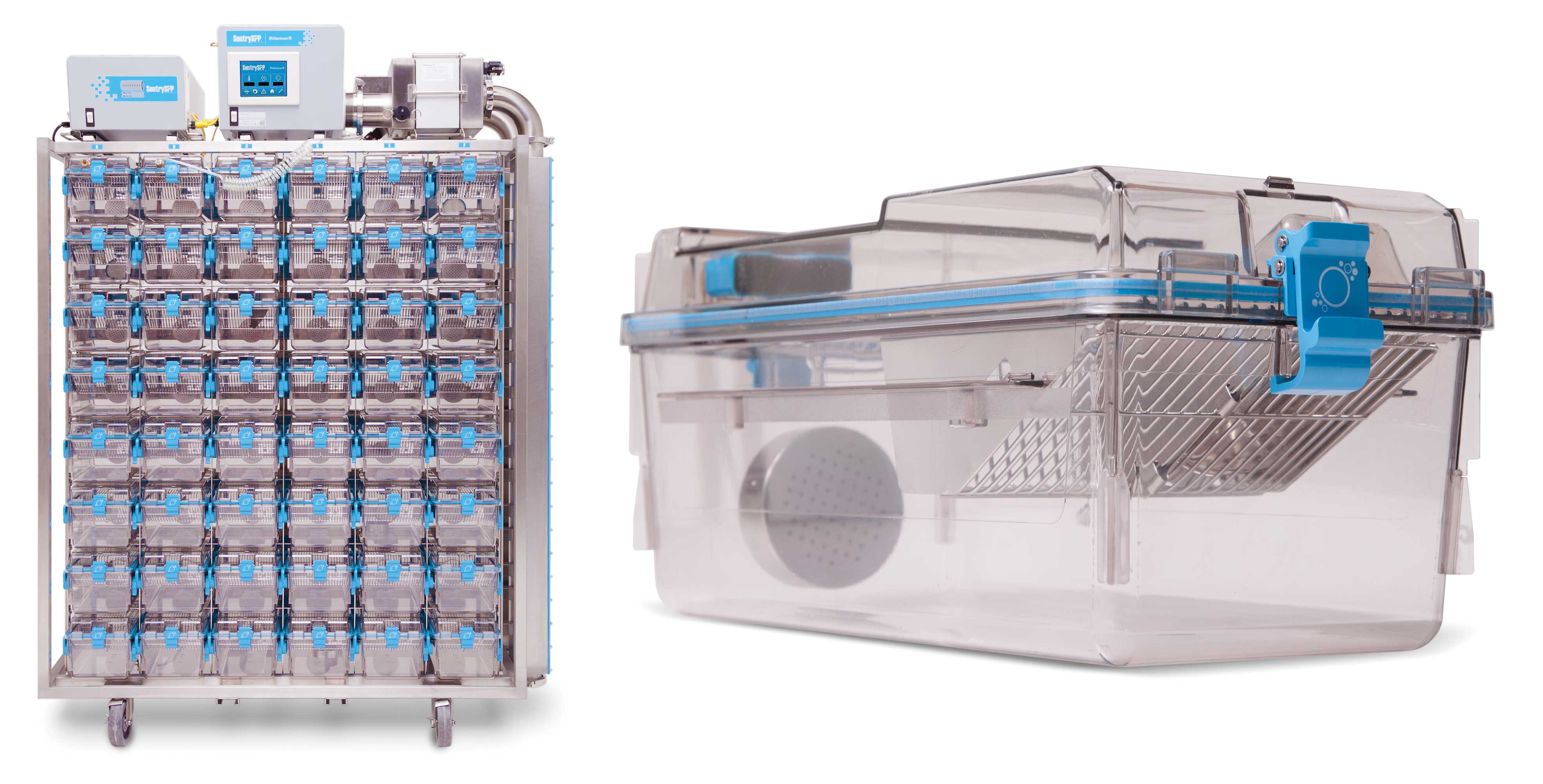 Rodent Cage Technology Evolves Beyond the Simple Holding Vessel - Tradeline, Inc.